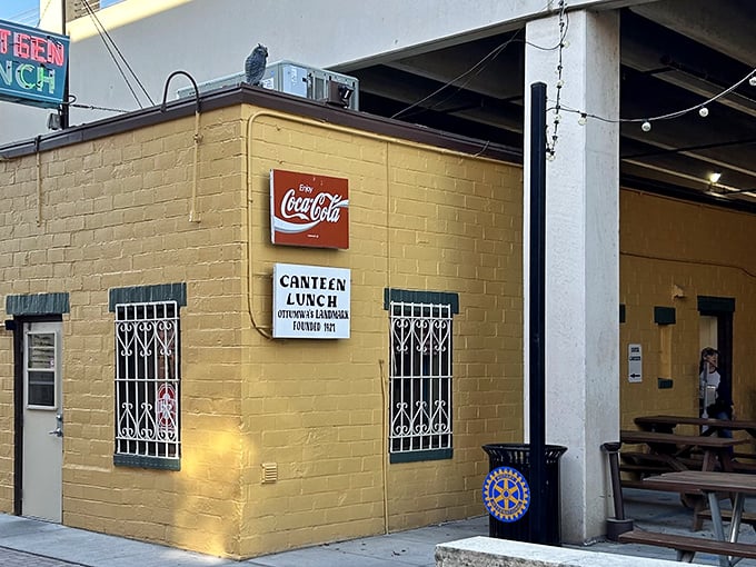 This golden corner spot proves that the best treasures hide in the most unexpected places. 