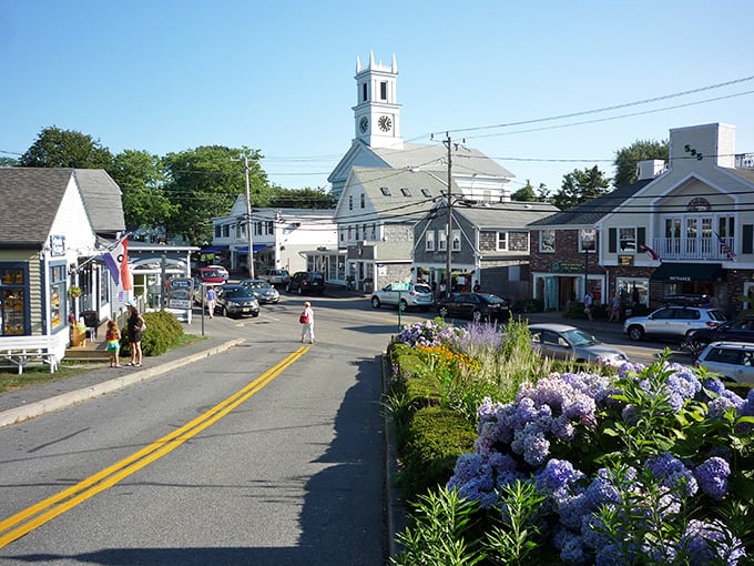 Chatham's Main Street blooms with hydrangeas that would make Martha Stewart weep with envy and pure joy.