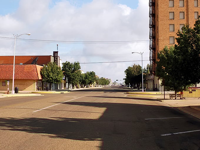 Wide open spaces, wider profit margins! Clovis' uncrowded streets mirror the breathing room in your budget when grocery shopping costs less than a streaming subscription.