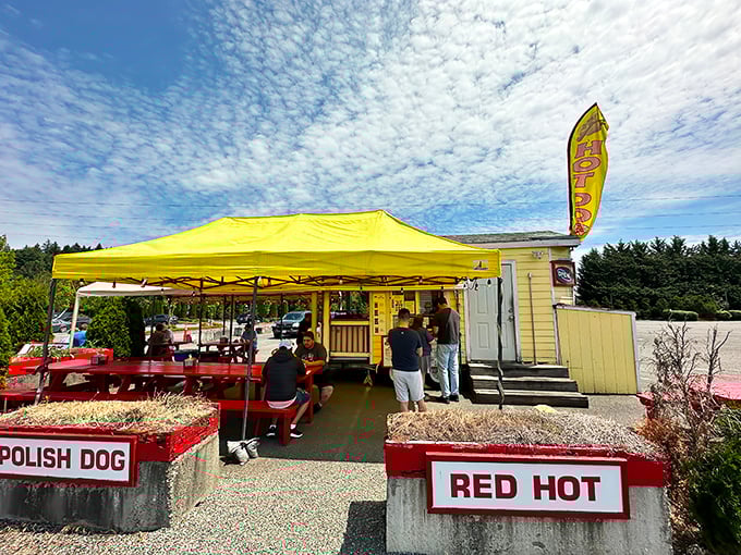 Yellow as sunshine and twice as cheerful - this food truck knows how to brighten your day.