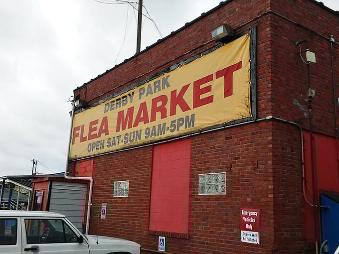This weathered brick building holds decades of stories and countless treasures waiting for discovery.