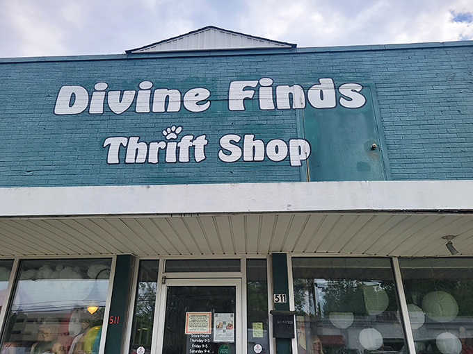 Divine Finds' turquoise facade is like a beacon for bargain hunters. This heavenly blue building houses earthly treasures at miraculous prices.