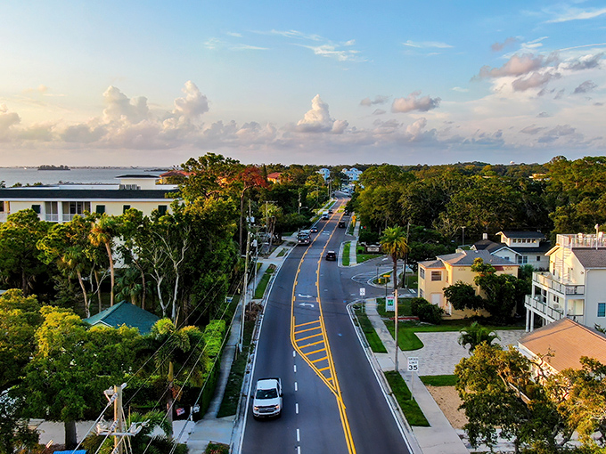 Dunedin: Where the Gulf breeze meets small-town ease. This coastal gem offers waterfront views without the waterfront prices.