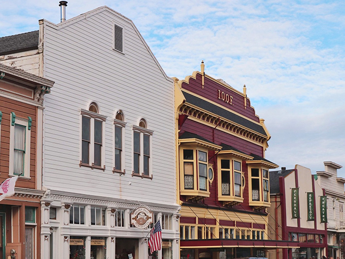 Ferndale's Victorian facades transport you to another era. These buildings have more character than most Hollywood scripts these days.