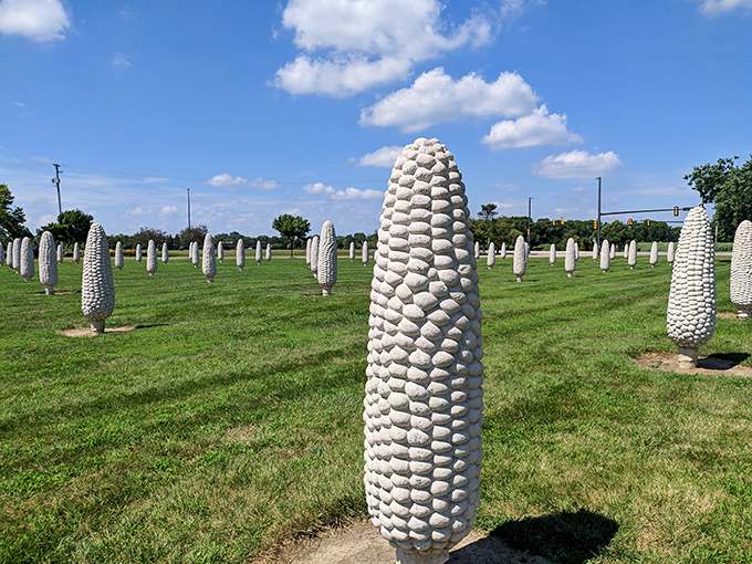 Cornhenge! These concrete cobs stand at attention like pale sentinels guarding the secrets of Ohio agriculture.