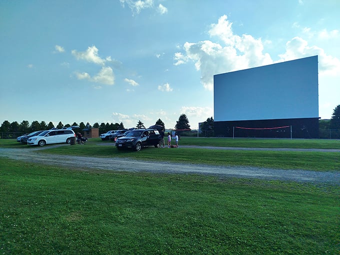 Cinema under cotton candy clouds! Field of Scenes offers a slice of American nostalgia where SUVs replace theater seats and nature provides the ceiling.