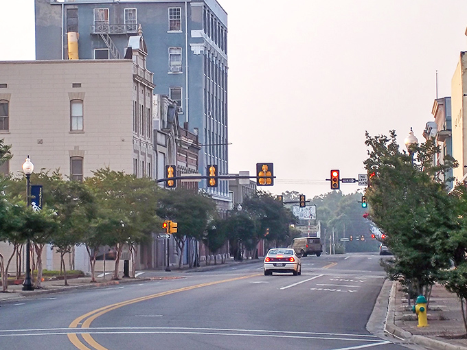 Hattiesburg's tree-lined downtown proves college towns can be affordable for retirees too.