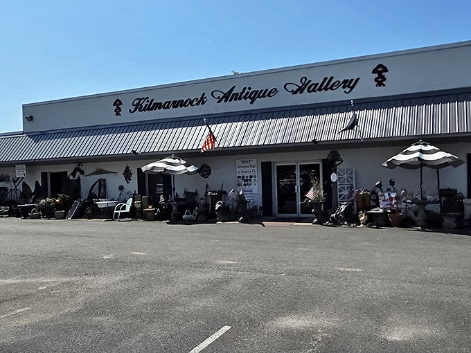 Kilmarnock Antique Gallery stands ready like a well-dressed gentleman, waiting to share its carefully curated vintage secrets.