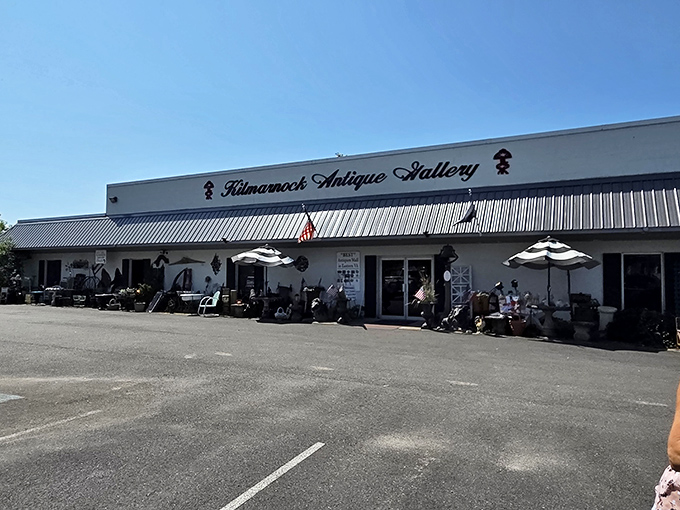 Kilmarnock Antique Gallery stretches wide under the blue Virginia sky, promising treasures for every taste and budget.