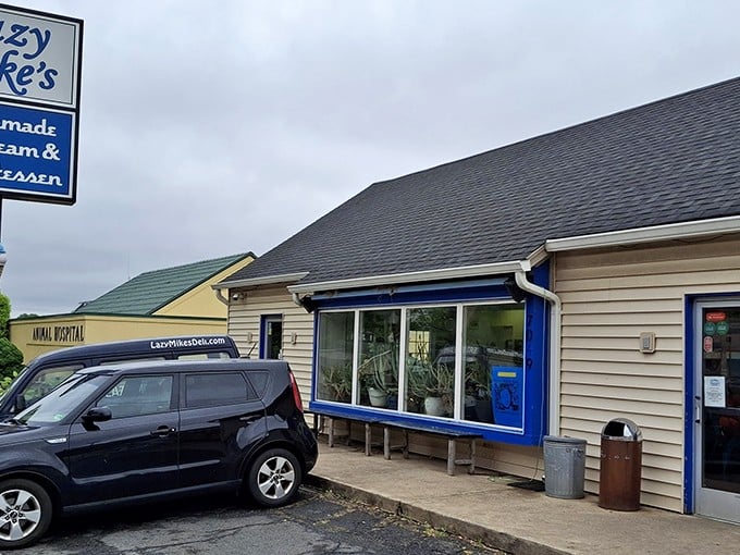 Lazy Mike's modest exterior hides sandwich greatness within. Like finding a diamond in your backyard - unexpected and wonderful.