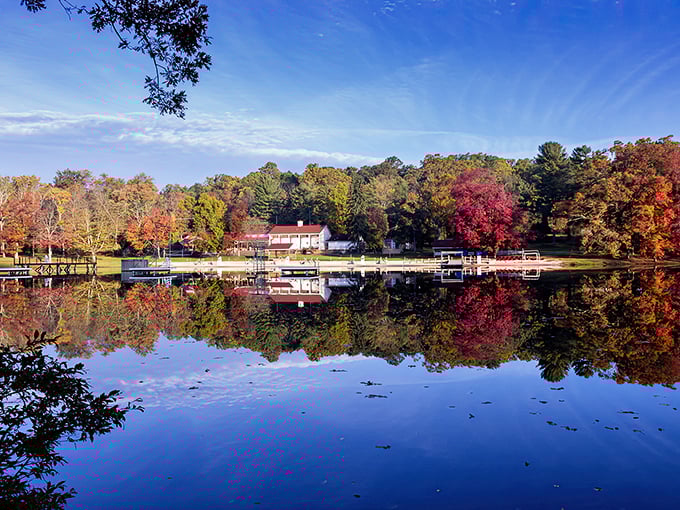 Nature's mirror trick creates double the autumn magic, reflecting colors so vivid they'd make Instagram jealous.