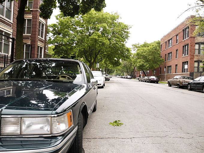 Munster's suburban charm shines through well-maintained neighborhoods where every lawn tells a story of community pride.