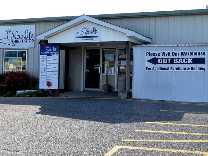 That "warehouse out back" sign isn't kidding - this place goes on forever with furniture finds galore. 