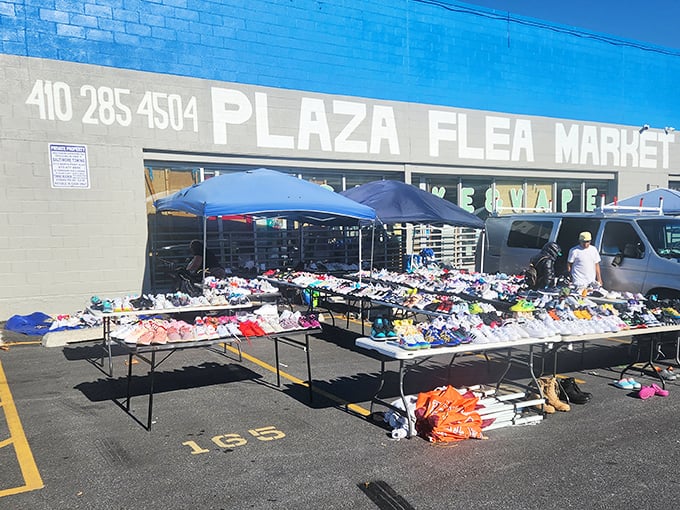 That blue building holds more surprises than a magician's hat on a Saturday morning.