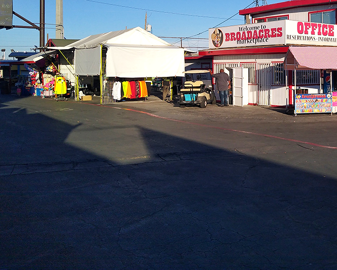 Welcome to Broadacres Marketplace, where outdoor shopping meets serious bargain hunting under Nevada's big sky.