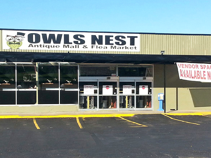 The Owls Nest proves that wisdom comes in many forms, including incredible bargain hunting opportunities.