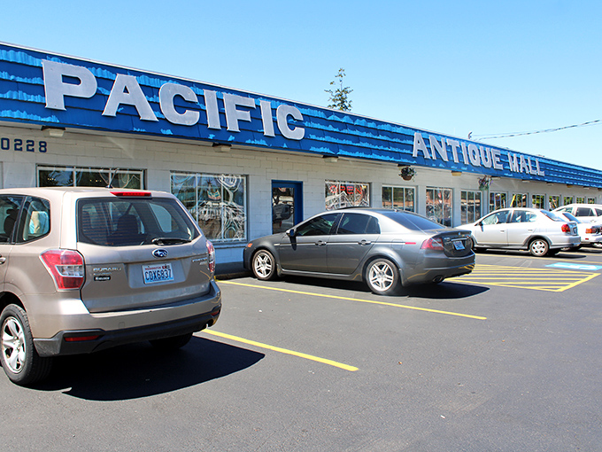 Pacific Antiques Mall stretches out like a blue horizon of possibilities. Each parking spot represents another car about to be filled with treasures.