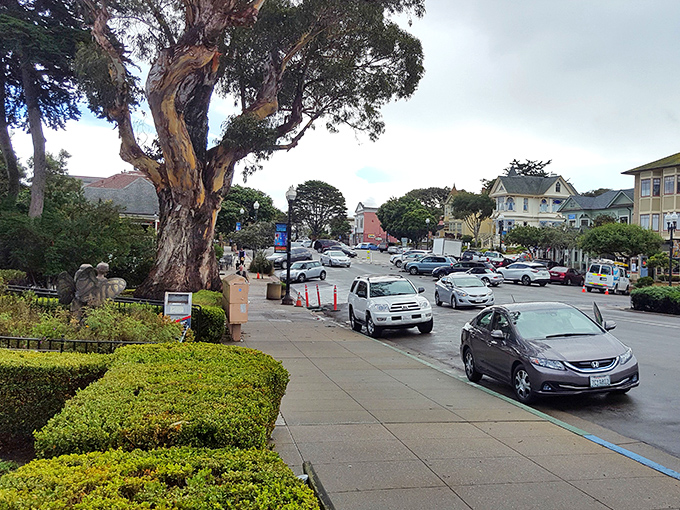 Pacific Grove's tree-lined streets lead to unexpected coastal views that make you wonder why you don't visit more often.