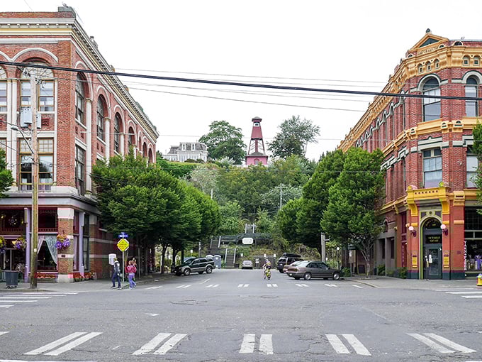 Port Townsend's historic buildings stand like Victorian time travelers. Red brick beauties watching over streets where history and hipsters mingle.