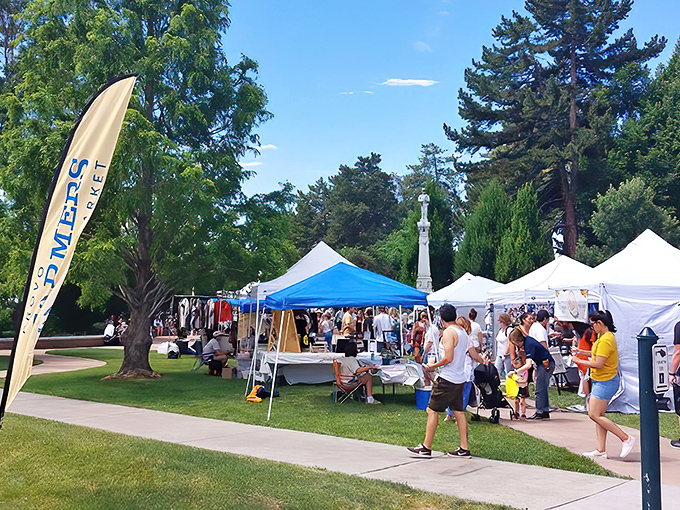 Blue skies and colorful tents create the perfect summer shopping scene at Provo Farmers Market. Treasures await around every corner!