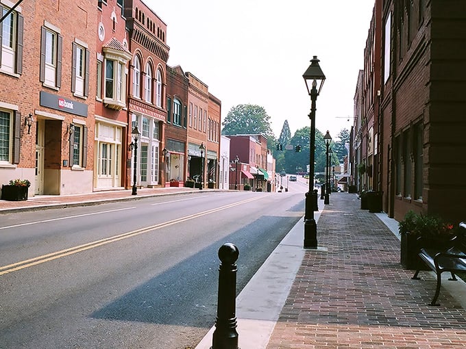 Rogersville's charming downtown could be a movie set for "Anytown, USA," with its classic brick buildings and inviting storefronts bathed in golden light.