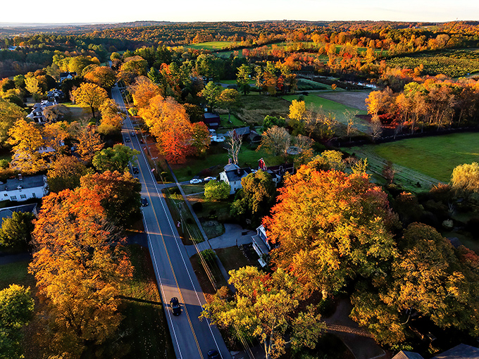 Bird's-eye view of Connecticut's autumn runway! Route 169 slices through a patchwork quilt of fall colors that would make Martha Stewart swoon.