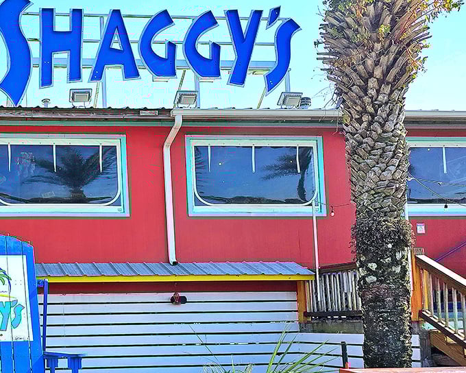 When a restaurant looks this colorful, you know the food inside matches that joyful, beachside energy perfectly.