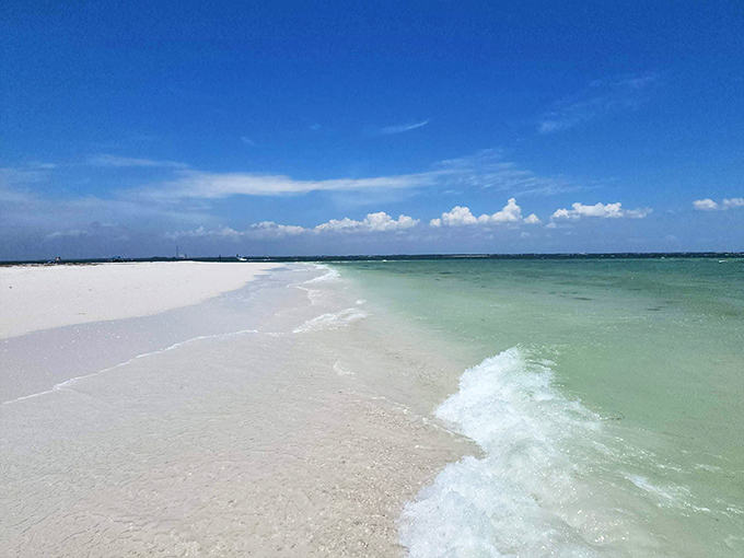 South Anclote's waters &ndash; where the Gulf of Mexico shows off its Caribbean-blue credentials without the passport requirement.