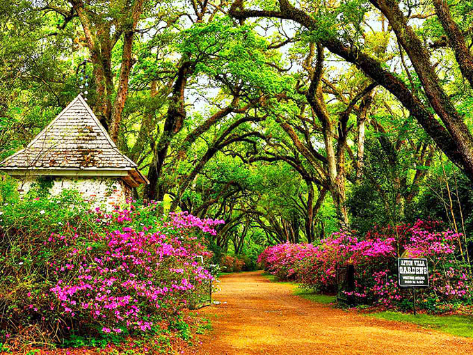 St. Francisville's gardens bloom with the kind of natural beauty that makes Instagram filters seem pointless.