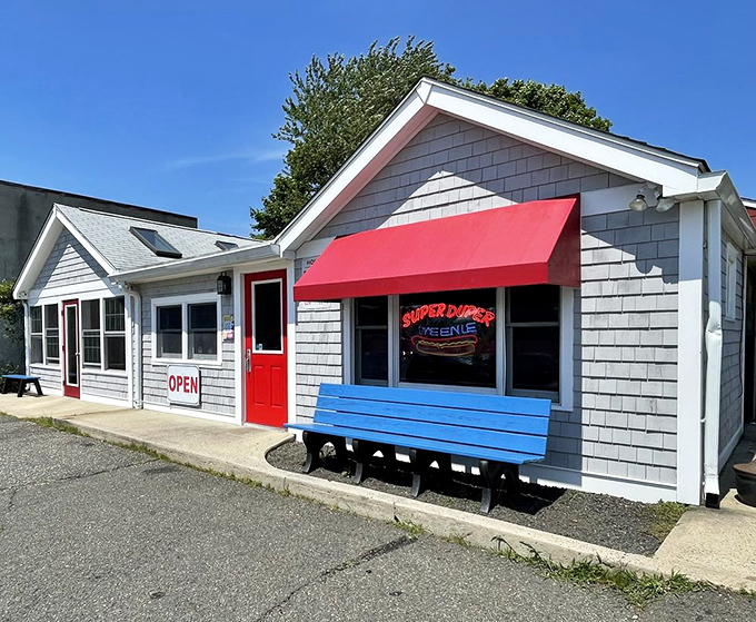 Don't judge this book by its cover—inside lies hot dog magic that'll surprise you.