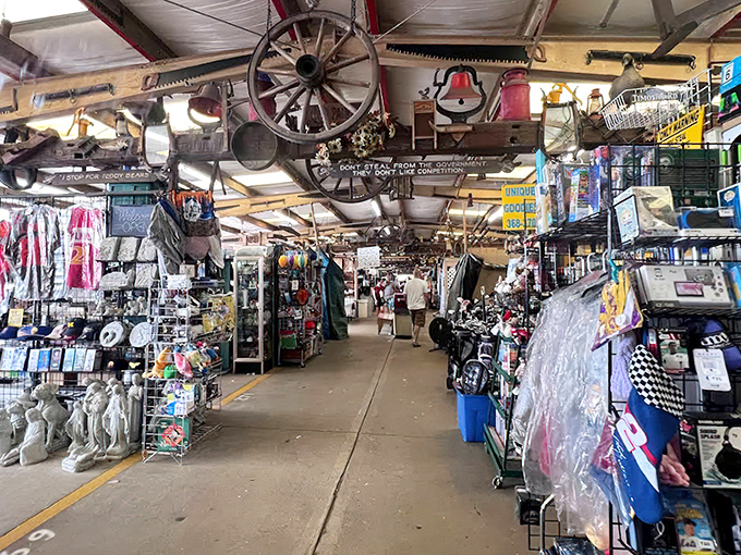 These organized aisles make treasure hunting feel less like chaos and more like guided adventure.