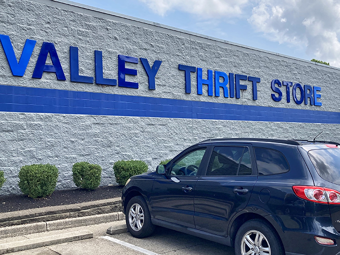 Valley Thrift's bold blue signage stands out like a beacon for bargain hunters. The mothership of secondhand finds!