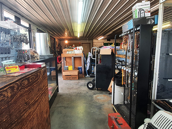 Inside this treasure trove, every aisle holds mysteries waiting to be discovered by patient explorers.