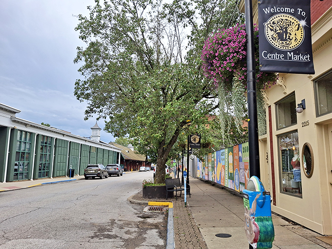 Welcome to Centre Market, where Wheeling's historic charm meets modern treasure hunting in perfect harmony.