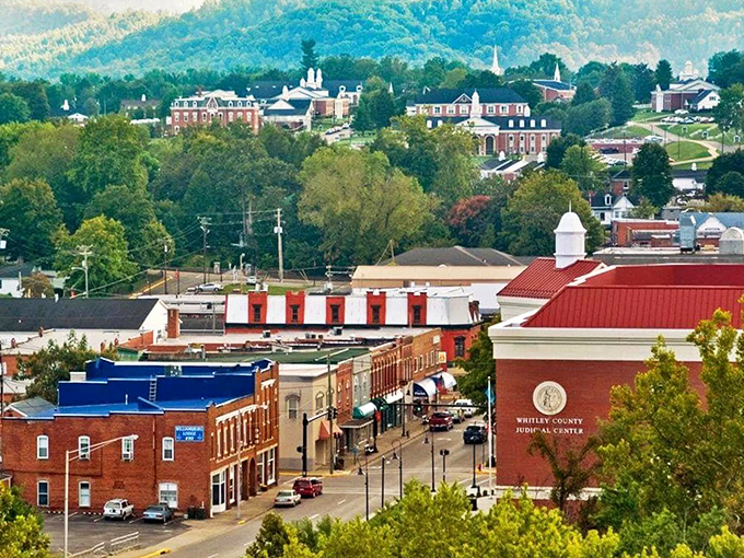 Where learning meets legacy! Williamsburg's brick-faced downtown climbs upward to a hillside campus, like a Southern "Good Will Hunting" set against nature's lush green backdrop.