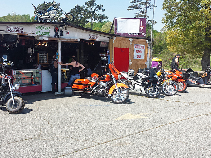 Welcome to motorcycle heaven, where chrome dreams and vintage parts create the perfect treasure hunting playground.