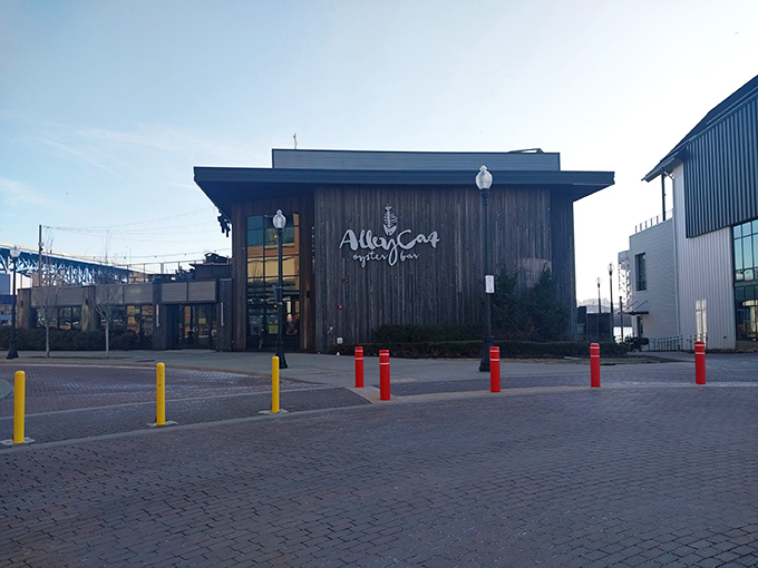 Where river meets restaurant - Alley Cat's waterside setting makes every seafood feast feel like a special occasion.