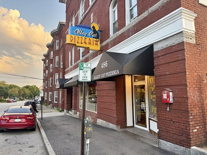 When a place calls itself "Alley Cat," you know they're not afraid to be scrappy.