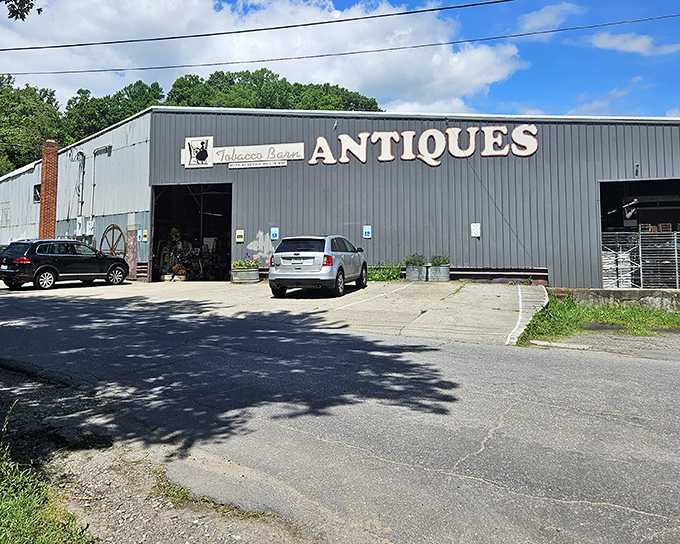 Sunlight dances across the metal exterior of this converted barn, as inviting as discovering grandmother's attic times ten.