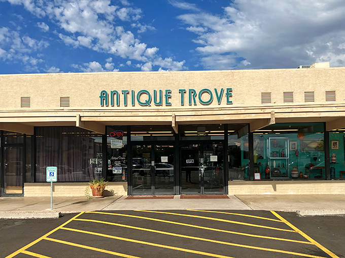 This isn't your grandmother's dusty attic - it's a curated collection where mid-century dreams come true every single day.