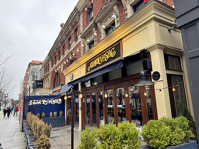 Atlantic Fish Company: Where Back Bay meets the ocean. This storefront has been tempting passersby with seafood treasures for decades.