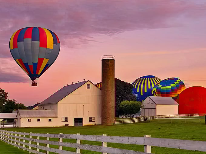 Hot air balloons add splashes of color to Bird-in-Hand's sky—like floating ice cream scoops above a vanilla landscape of Amish farms.