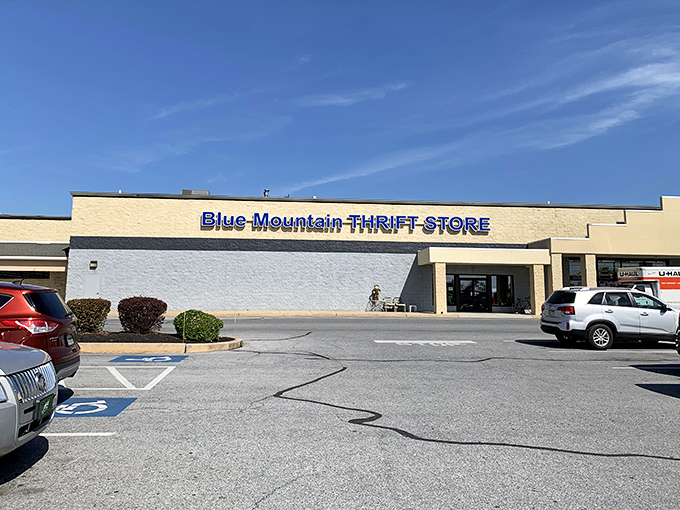 When the parking lot stays this busy, you know the bargains inside are absolutely legendary.