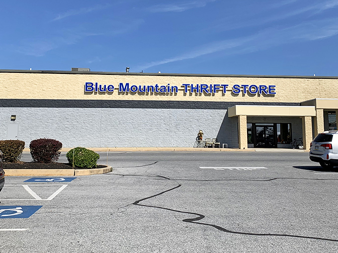 Sunshine gleams off Blue Mountain's storefront, promising air-conditioned aisles filled with yesterday's treasures at today's tiny prices.