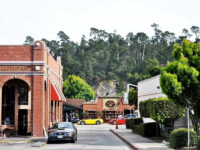 This Central Coast gem blends seaside charm with forest serenity, offering the best of both California worlds.