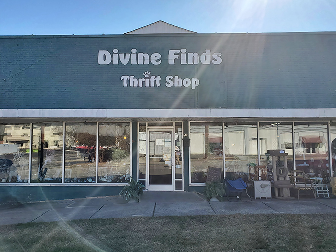 Sunshine glints off Divine Finds' storefront, hinting at the bright discoveries waiting inside. Every window showcases possibilities!
