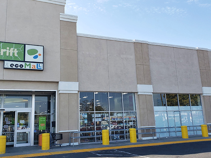 This massive thrift emporium makes regular stores look tiny, offering treasure hunting on an epic scale.