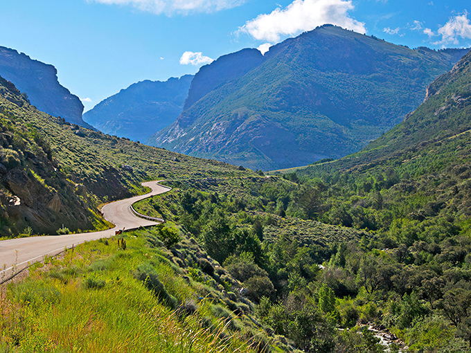 The rugged beauty of Lamoille Canyon near Elko offers a scenic drive that will have everyone in the car suddenly becoming nature photographers.