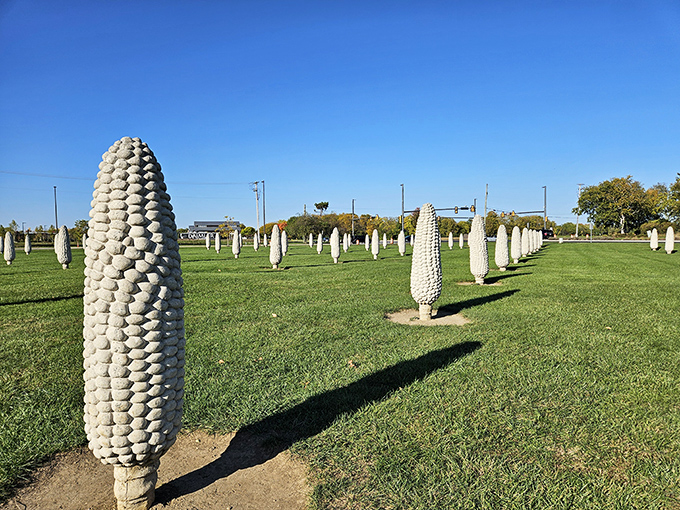 Not your average crop! These six-foot concrete corn sculptures create surreal shadows across Dublin's quirky landscape.