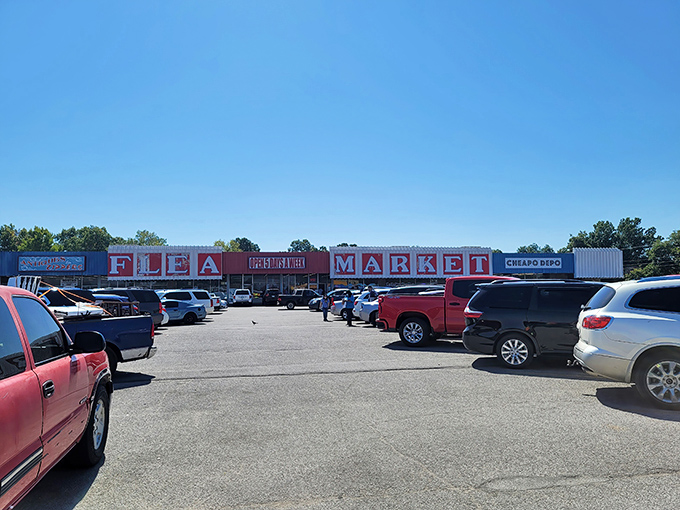When the parking lot's this packed, you know you've found where the smart shoppers gather! 